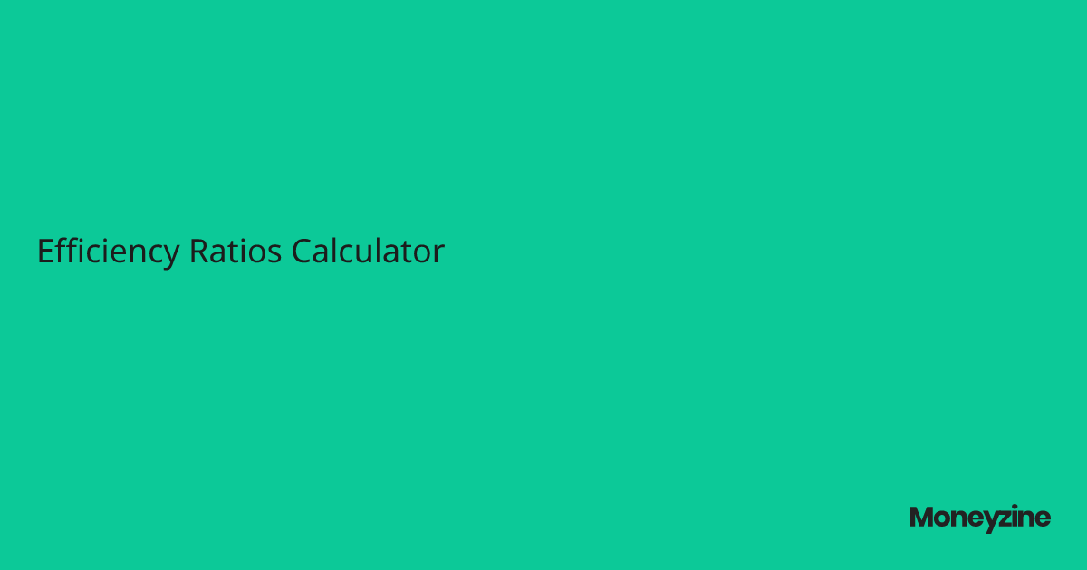 Efficiency Ratios Calculator